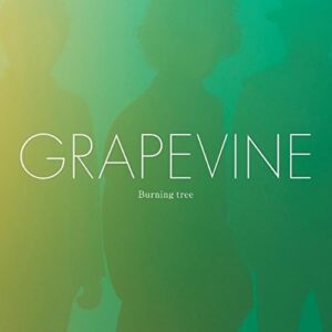 DISCOGRAPHY | GRAPEVINE OFFICIAL WEBSITE